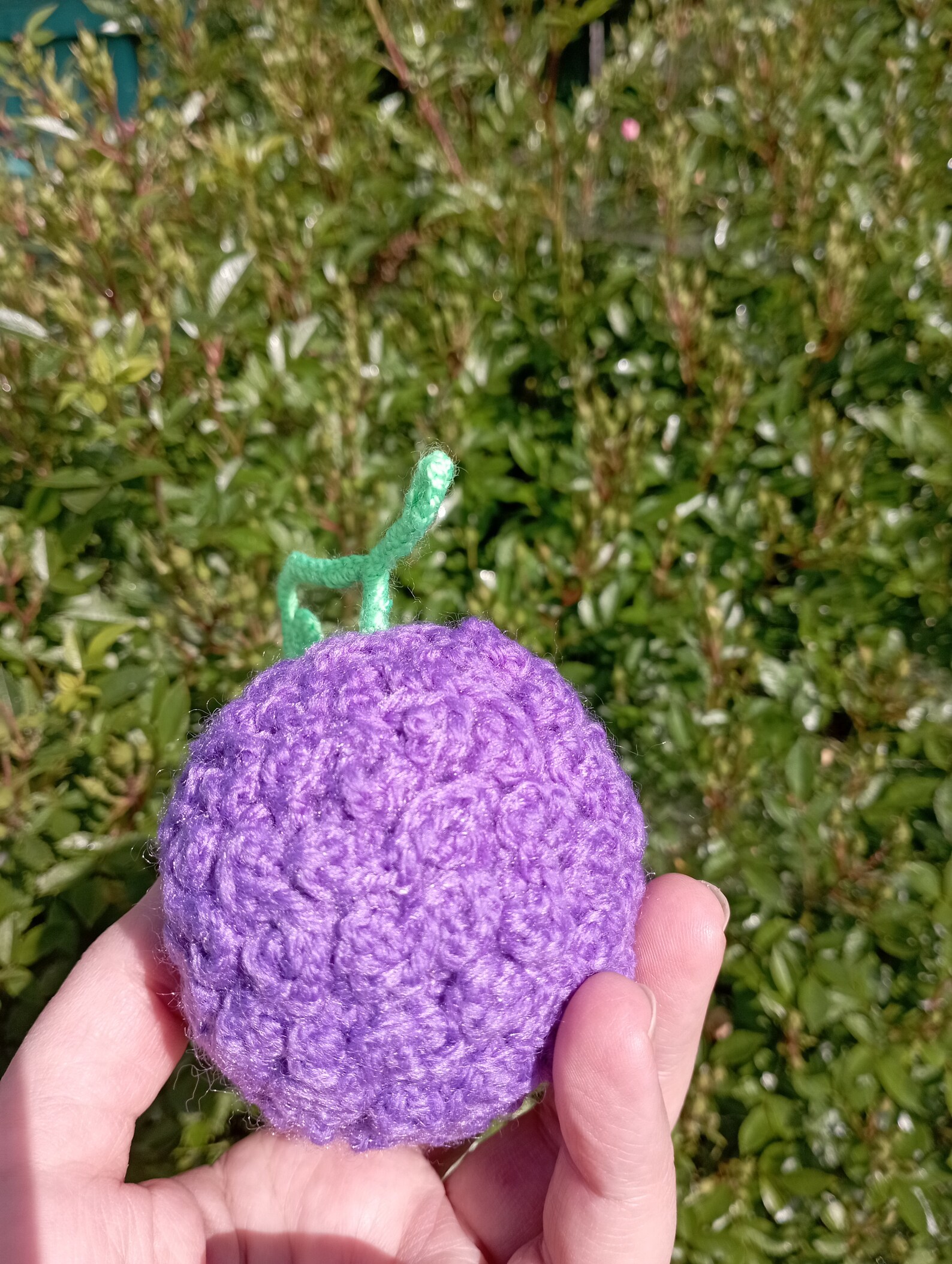 Gomu Gomu No Mi Purple Devil Fruit Luffy Devil Fruit - Etsy