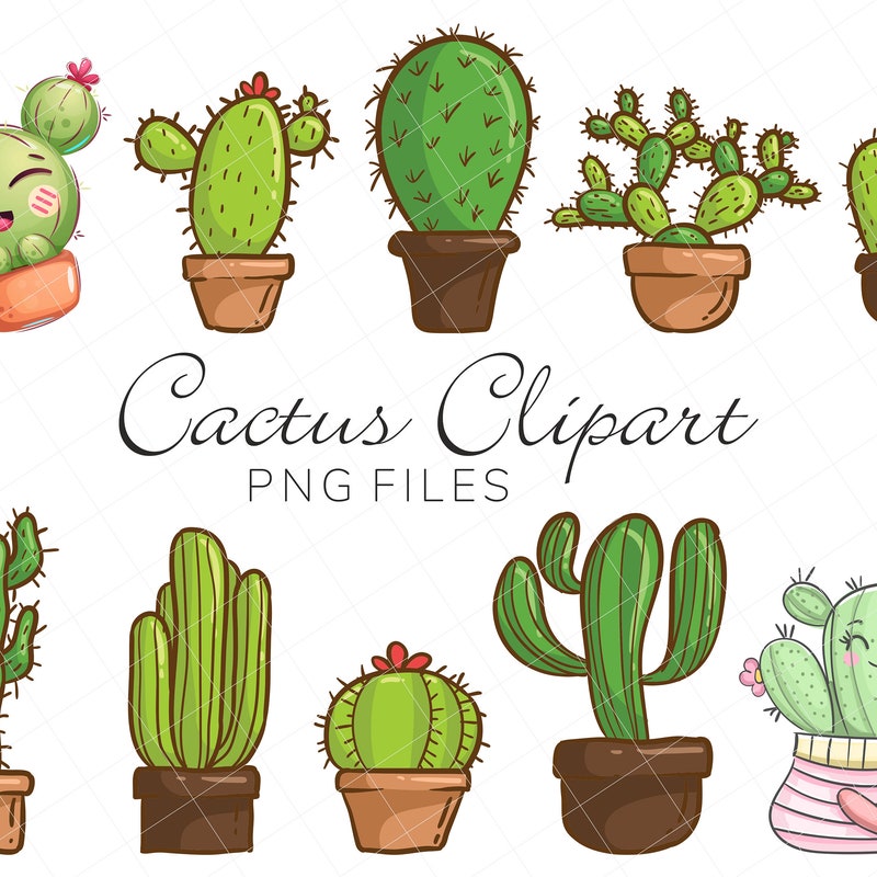 Classroom Cactus - Etsy