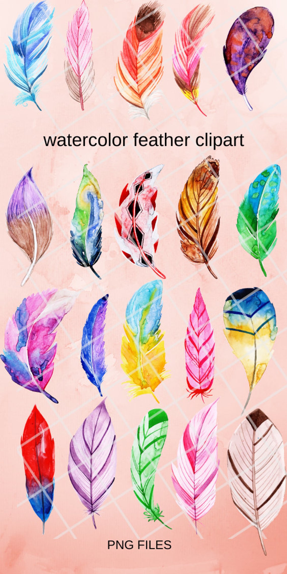 Watercolor Feather Clipart Feather Clip Art Feather Png - Etsy