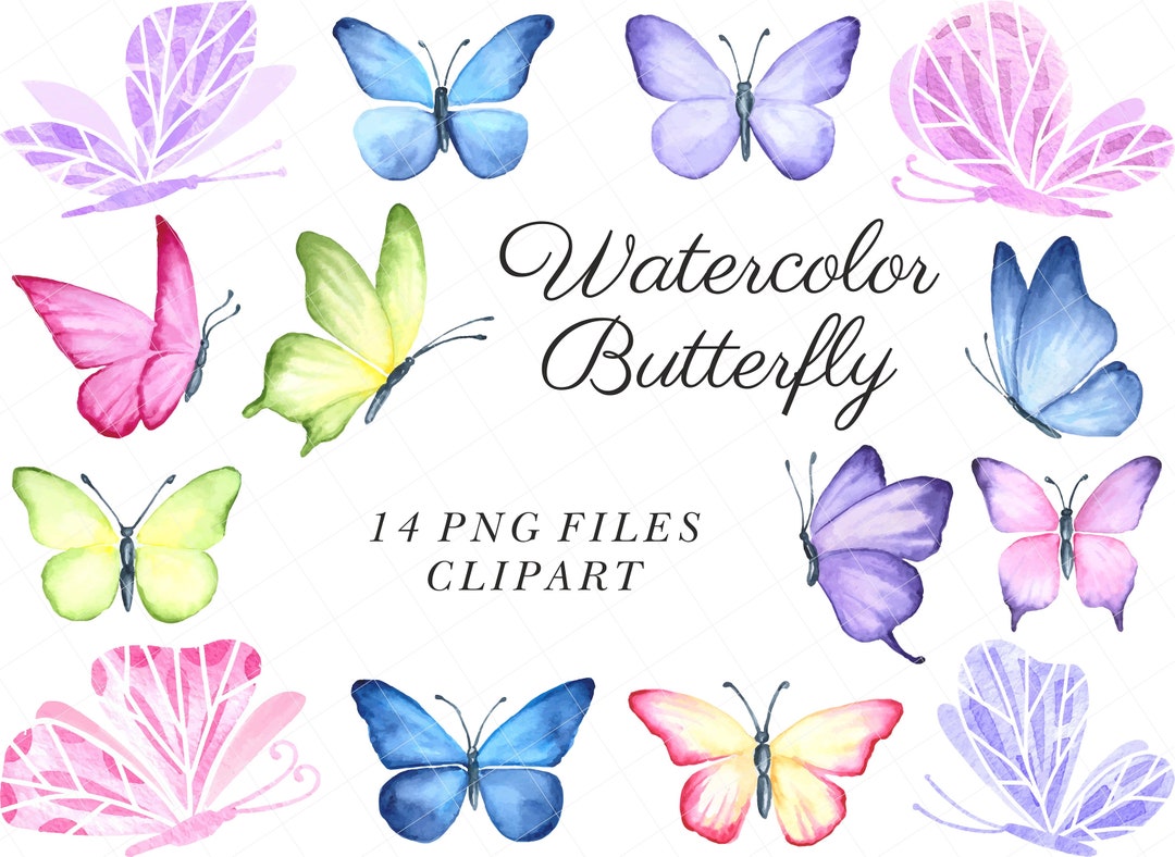 Watercolor Butterfly Clipart, Clipart Butterfly Vintage, Modern ...