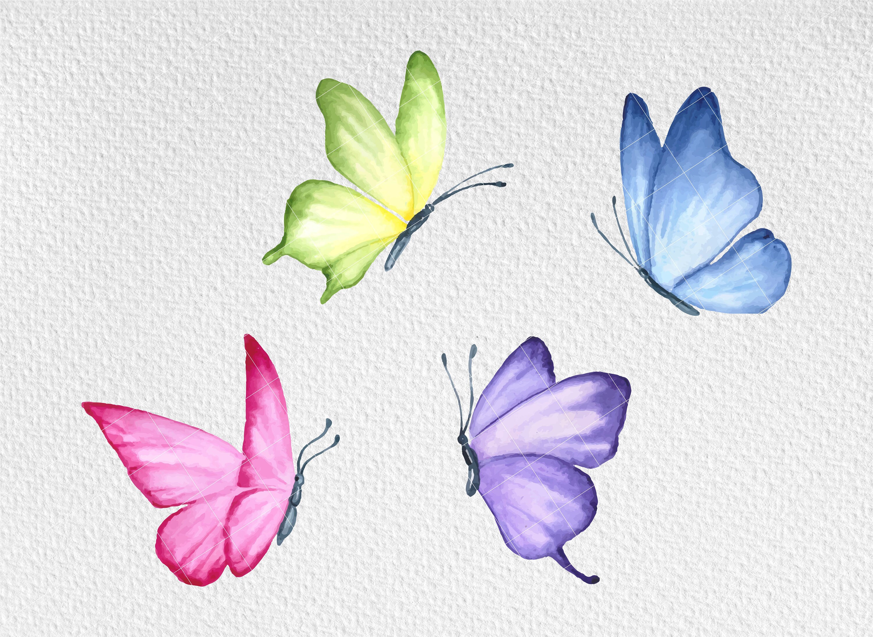 Watercolor Butterfly Clipart Clipart Butterfly Vintage | Etsy