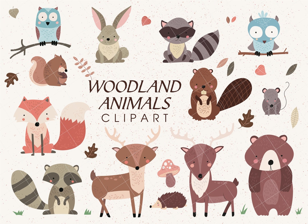 Woodland Animals Clipart, Animals Png, Owl, Rabbit, Raccoon, Squirrel ...