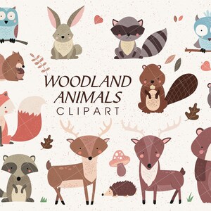 Woodland Animals Clipart, Animals Png, Owl, Rabbit, Raccoon, Squirrel ...
