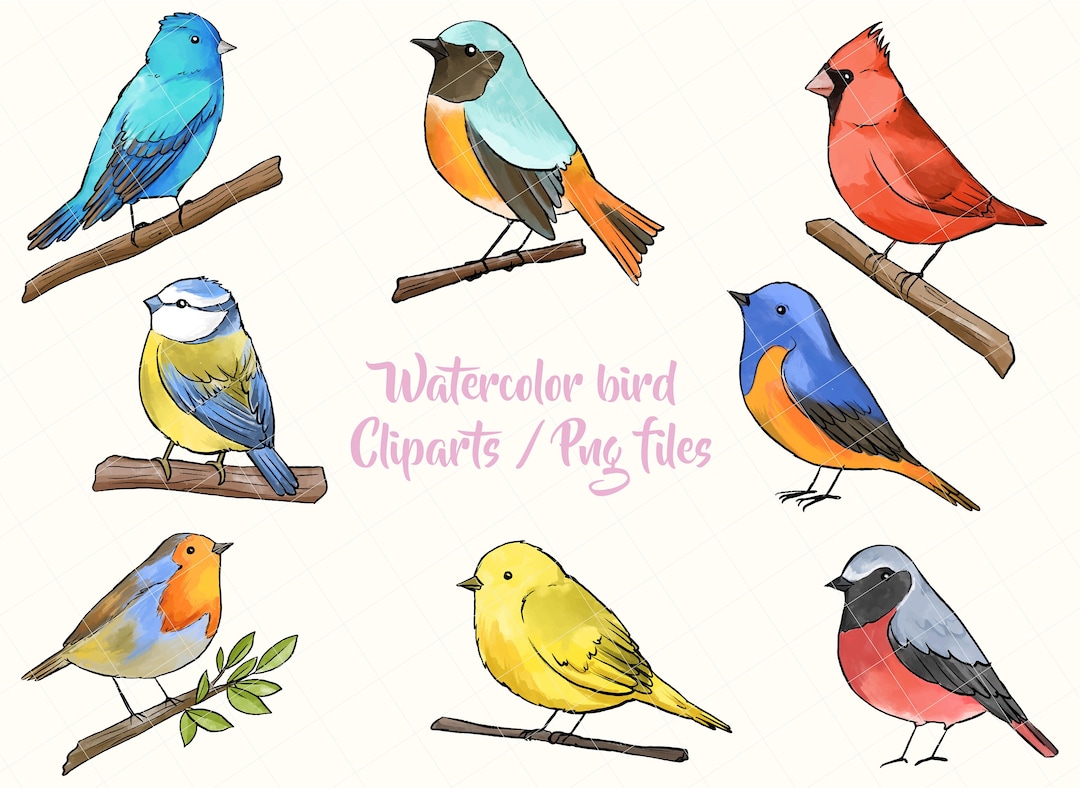 Watercolor Birds Clipart, Birds Clipart, Bird Png,small Bird Download ...