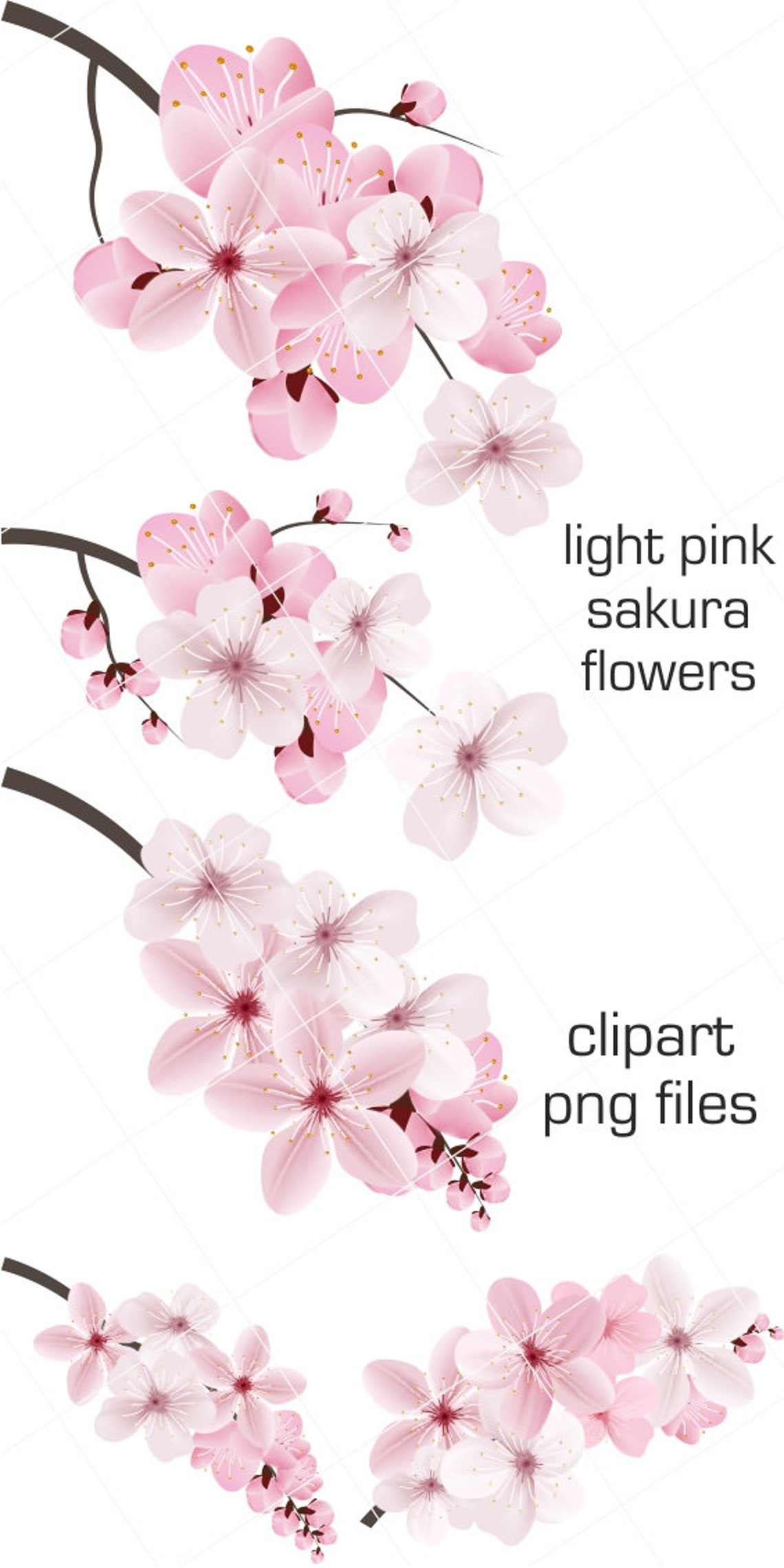 Light Pink Sakura Flowers Clipart Set of Sakura Clipart Pink - Etsy