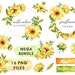 Floral Clipart Mega Bundle Watercolor Flower Clipart Blush - Etsy