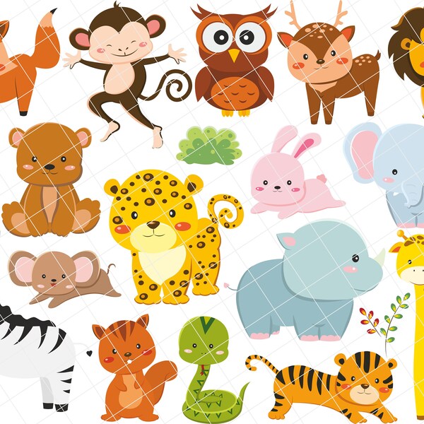 Safari Clip Art - Etsy