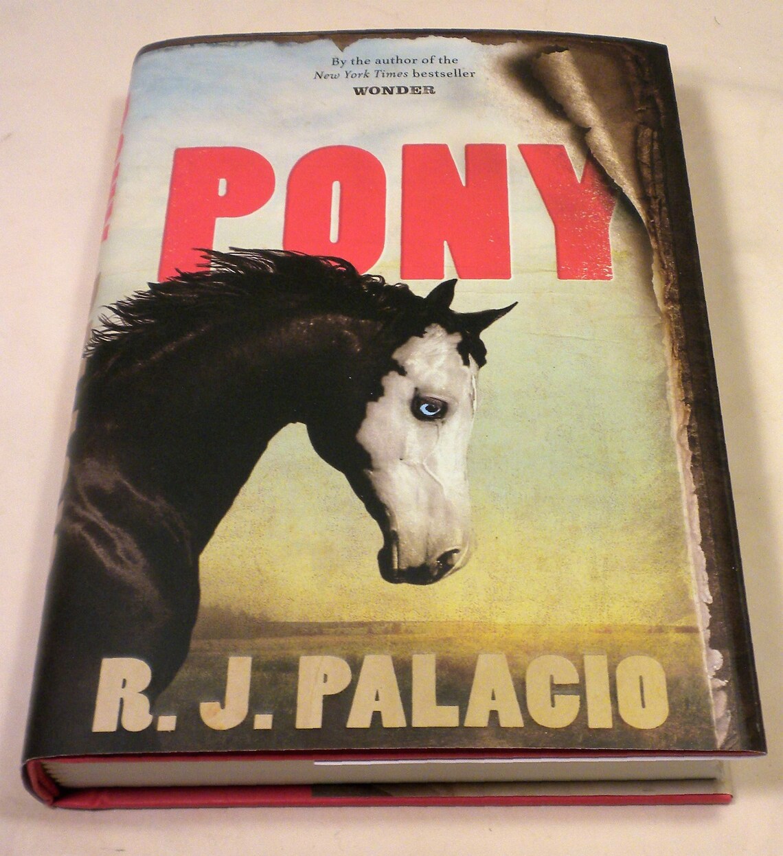 SIGNED Pony R. J. Palacio First Edition First Printing - Etsy