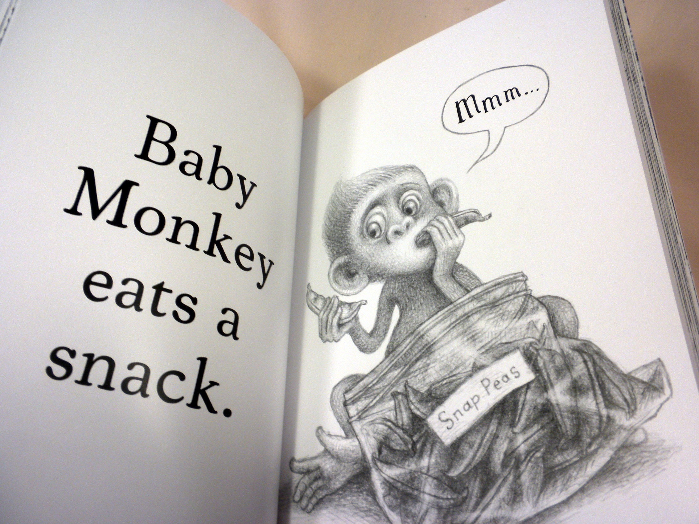 DOUBLE SIGNED Baby Monkey Private Eye Brian Selznick/david | Etsy Australia