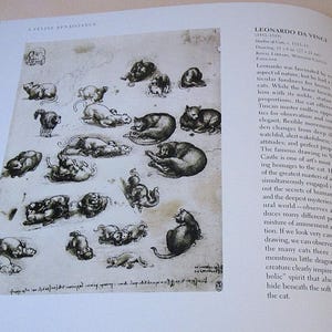 NEW, the Cat in Art, Steffano Zuffi, Illustrated, 2007 - Etsy