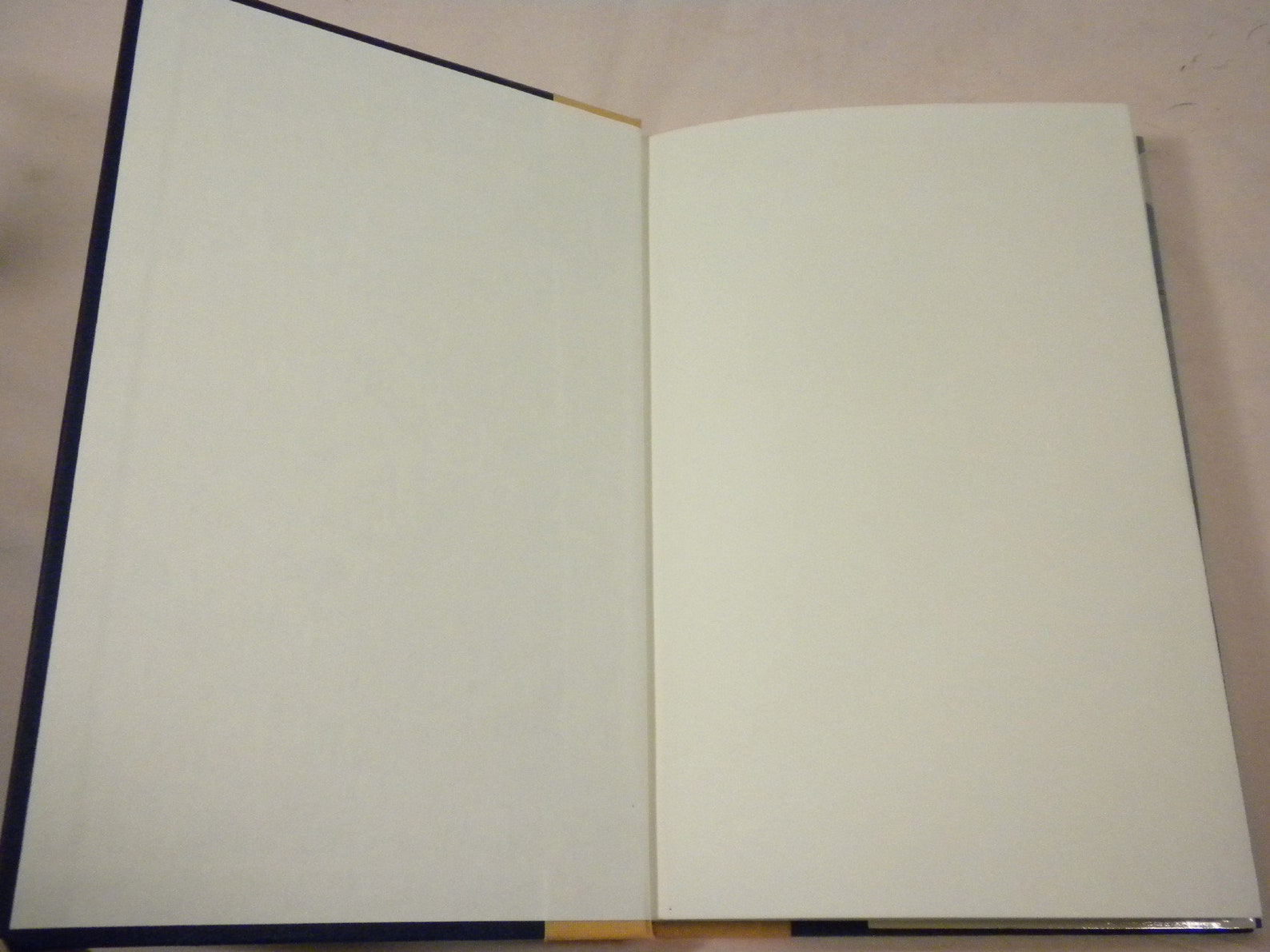 SIGNED A Model World Michael Chabon Signed on the Title | Etsy