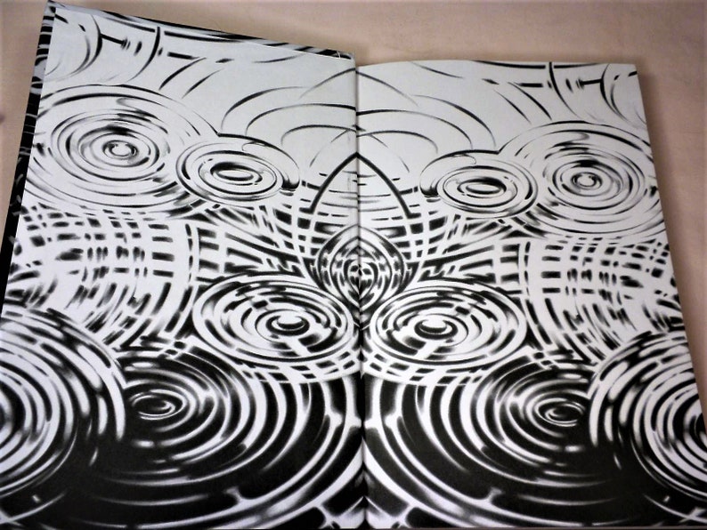 SIGNED the End and Other Beginnings Veronica Roth First - Etsy