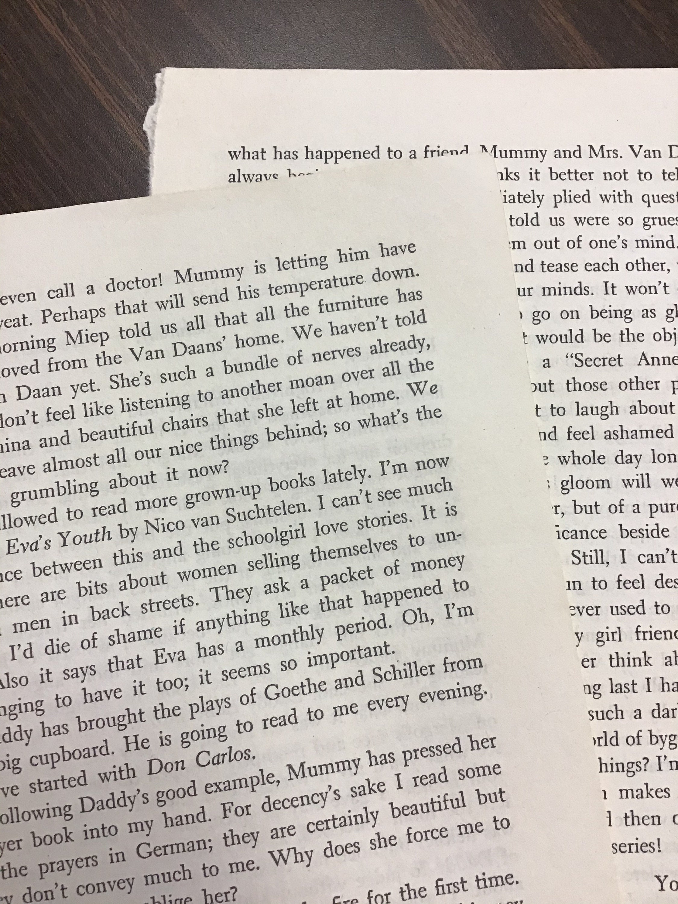 Lot of 25 Pages of Anne Frank:the Diary of a Young Girl, Book Pages ...