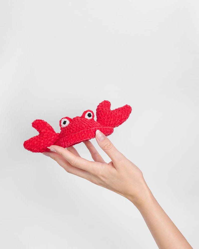 Pigeon & Crab Hat Crochet Pattern Set (PDF) - Etsy
