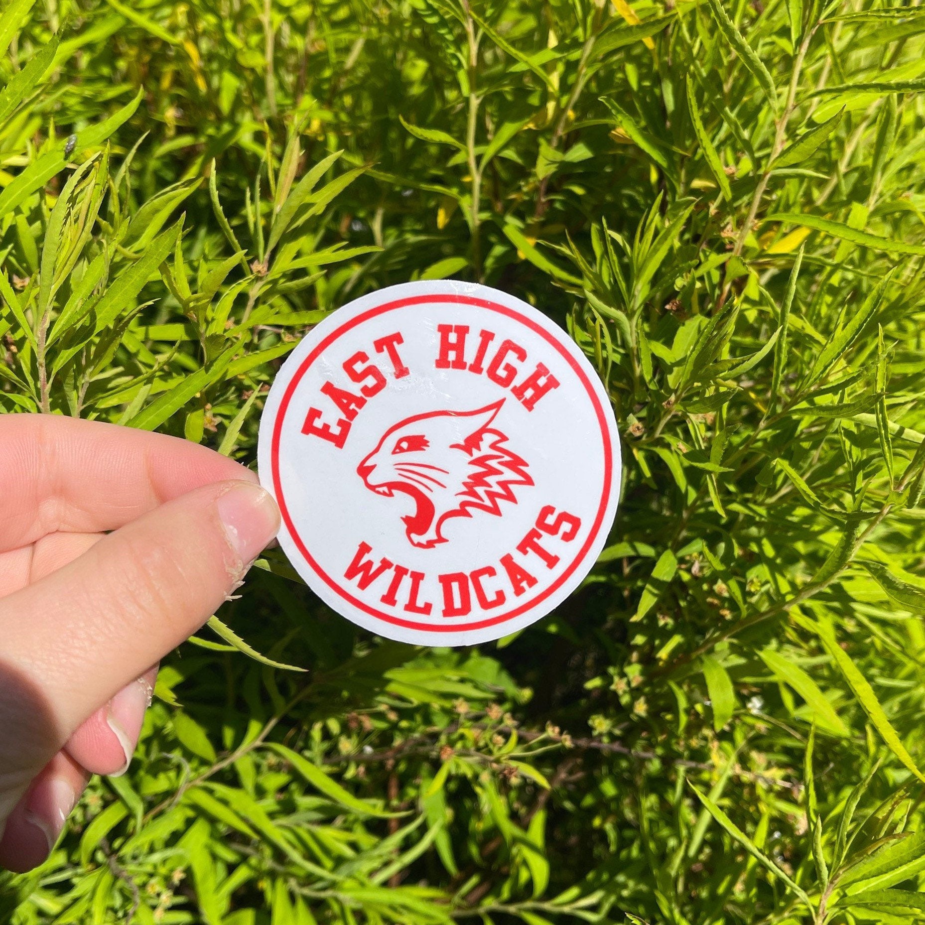 High School Musical Sticker /magnet - Etsy
