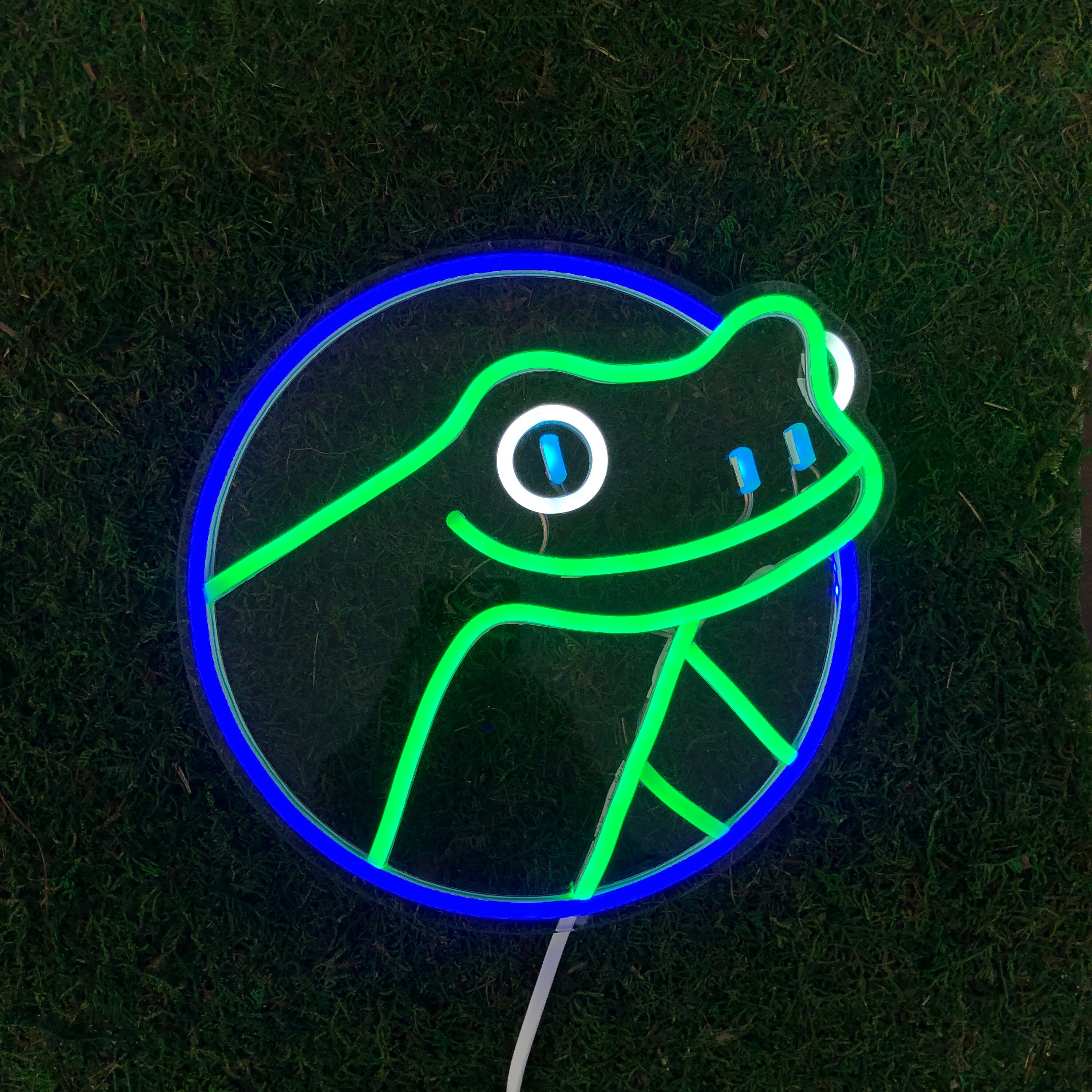 FROG Led Neon Sign Neon for Home Led Sign | Etsy