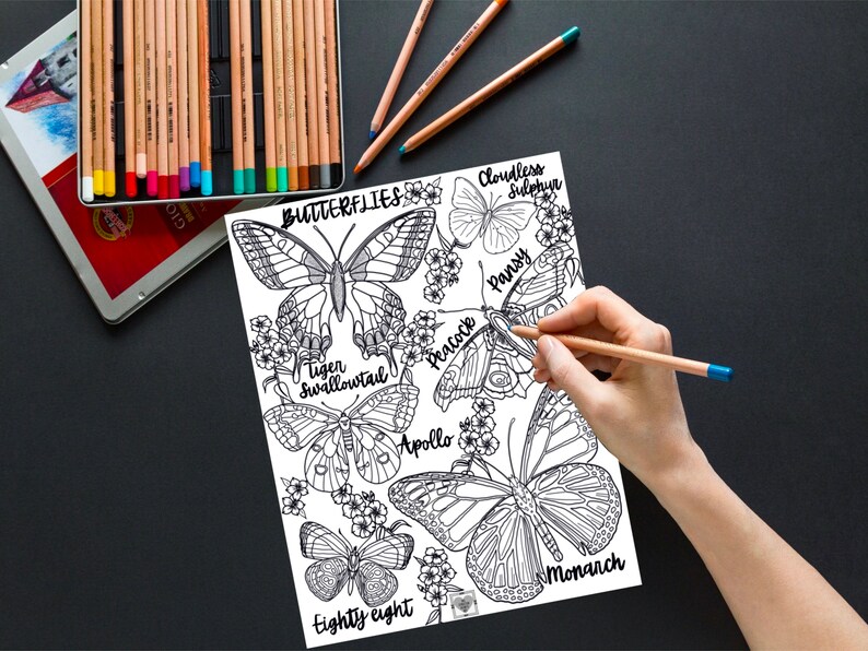 Butterfly & Moth Coloring Pages: Realistic Nature Art (digital Download ...
