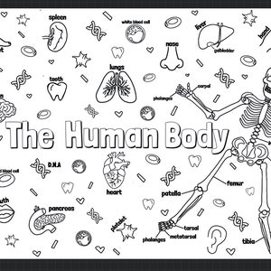 COLORING Poster, BODY PARTS, Science Classroom, Giant Human Body ...