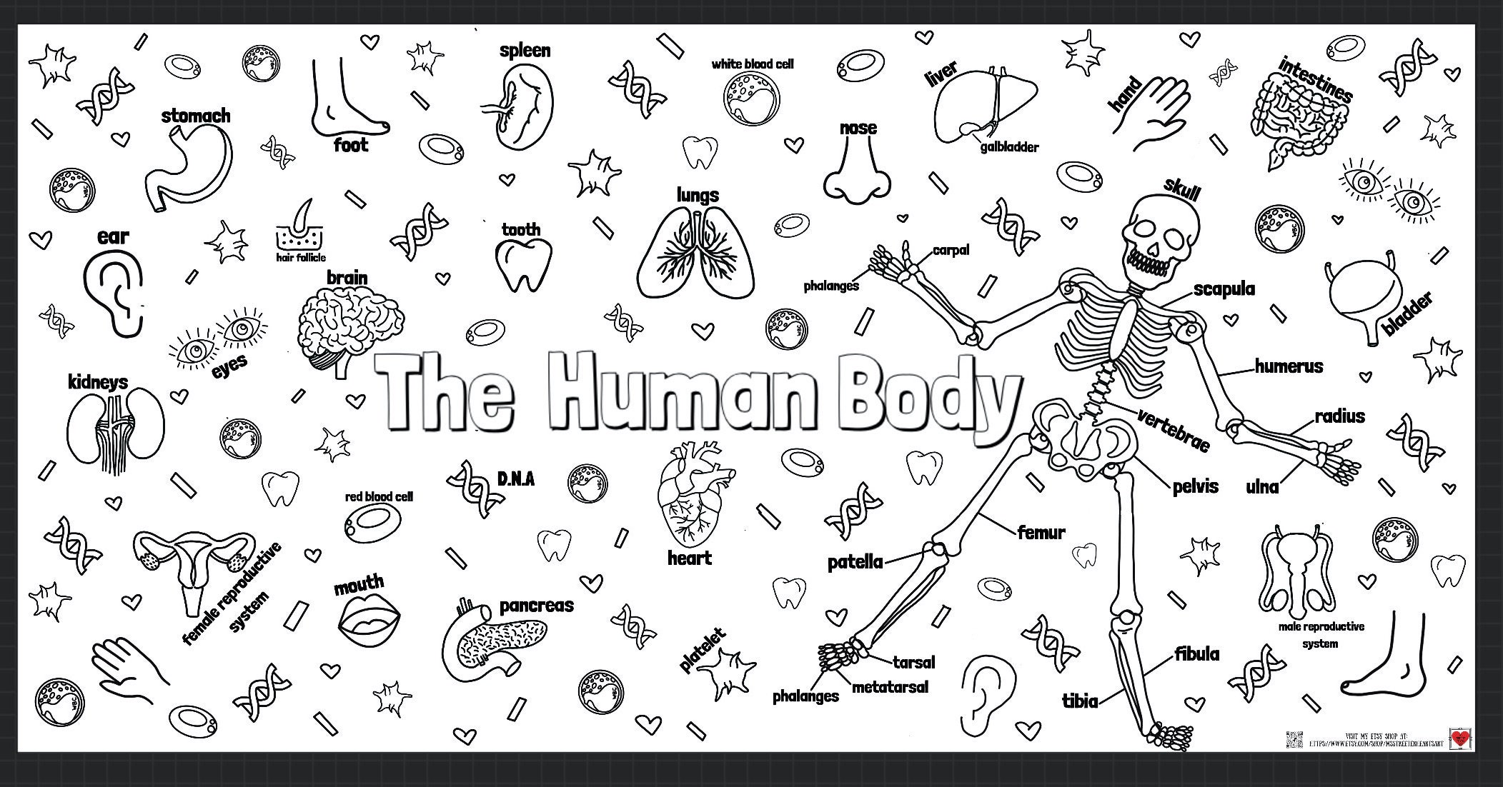 COLORING Poster, BODY PARTS, Science Classroom, Giant Human Body ...