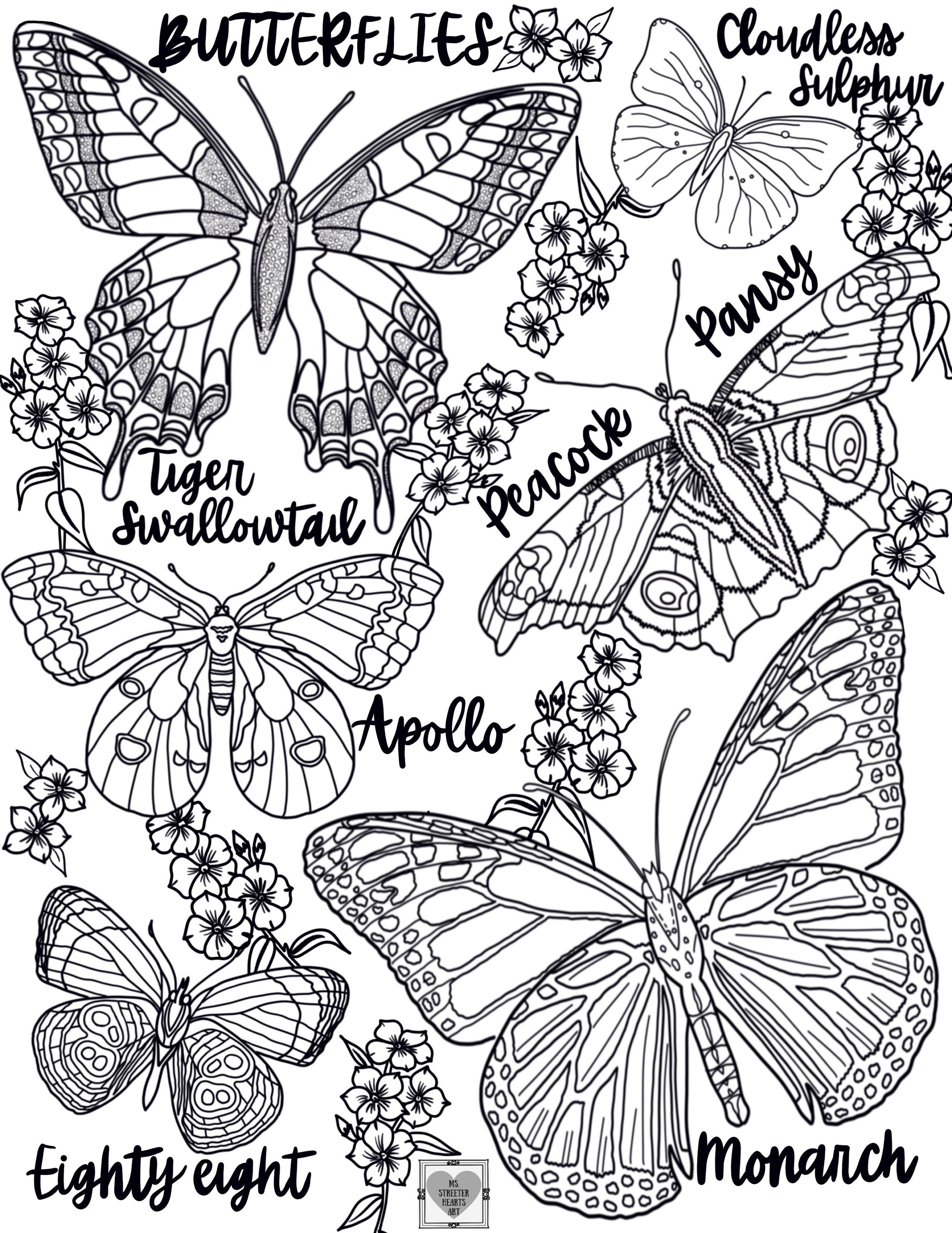 Realistic Butterfly Coloring Pages Coloring Pages For Adults Coloring