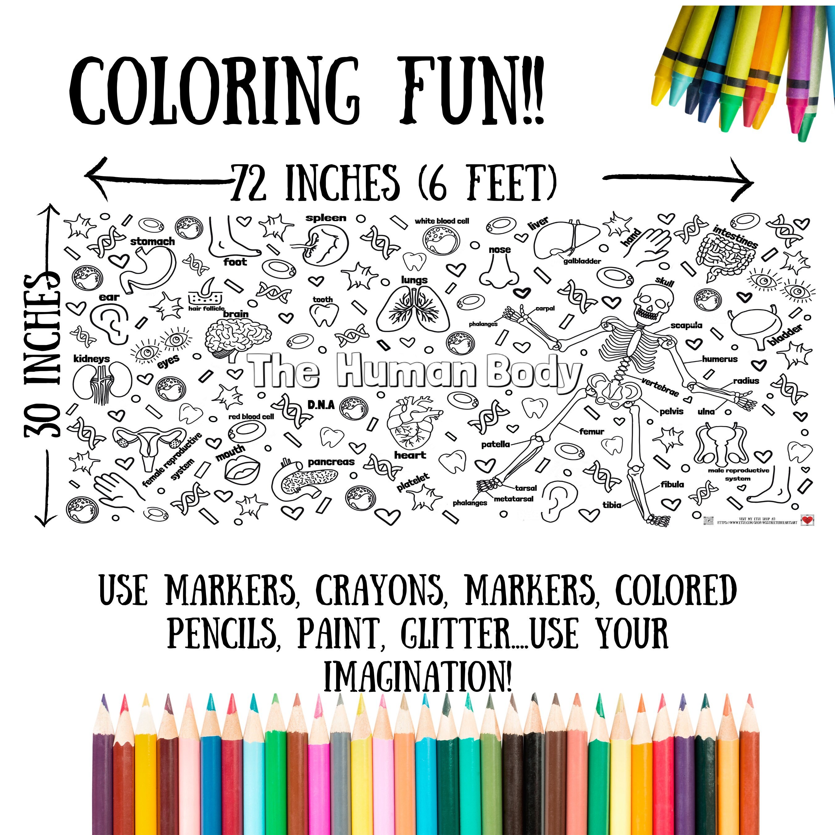 COLORING Poster, BODY PARTS, Science Classroom, Giant Human Body ...