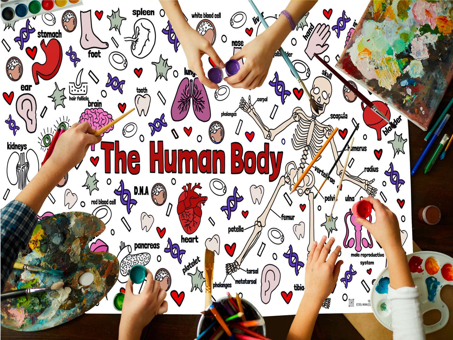 COLORING Poster, BODY PARTS, Science Classroom, Giant Human Body ...