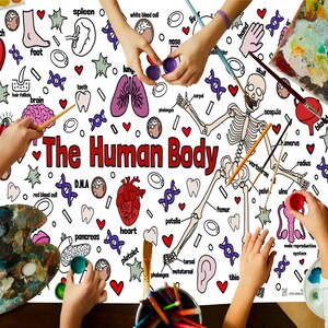 COLORING Poster, BODY PARTS, Science Classroom, Giant Human Body ...