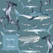 Seamless Fabric Design Sharks - Etsy
