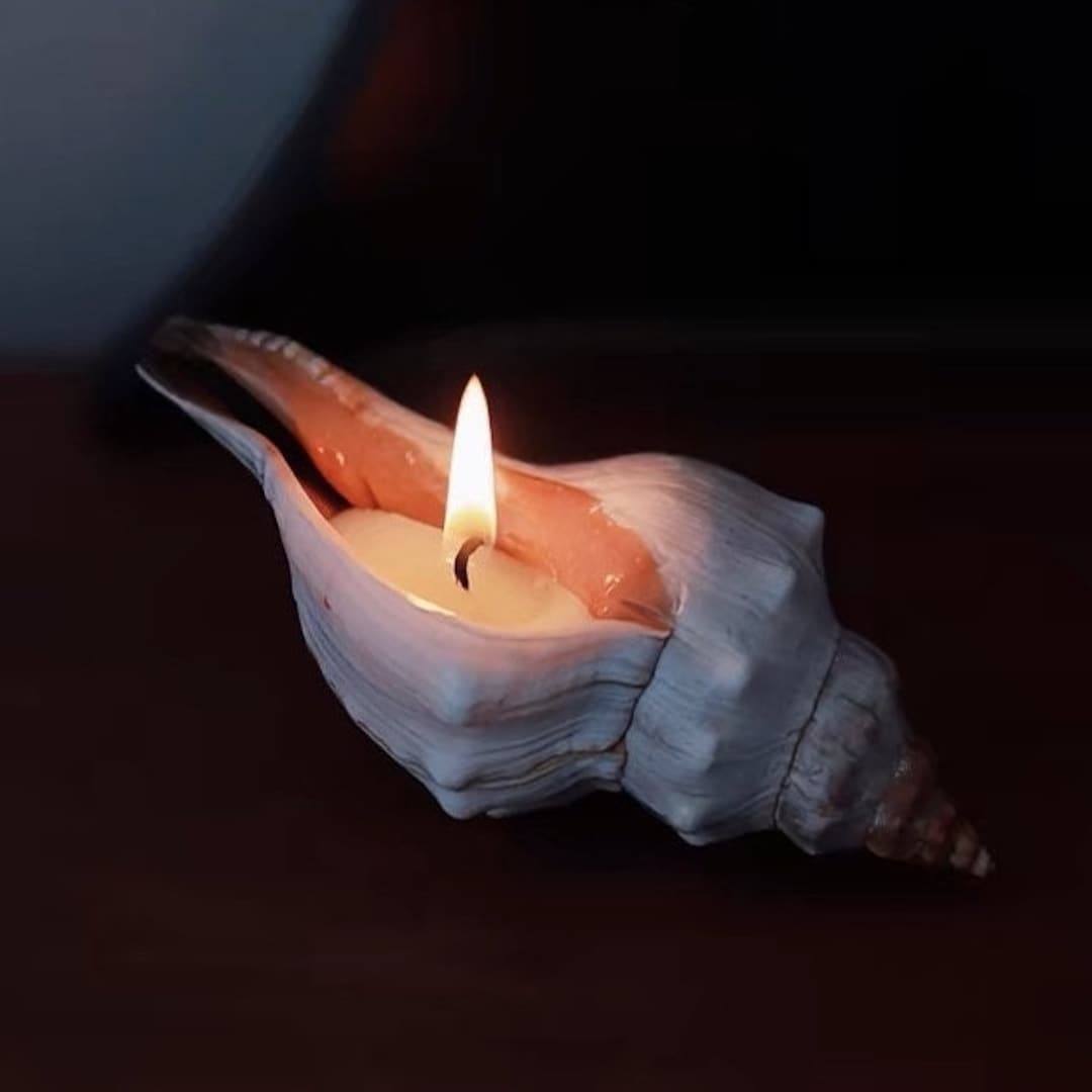 Sea Shell Conch Candle Home Decor Soy Wax - Etsy