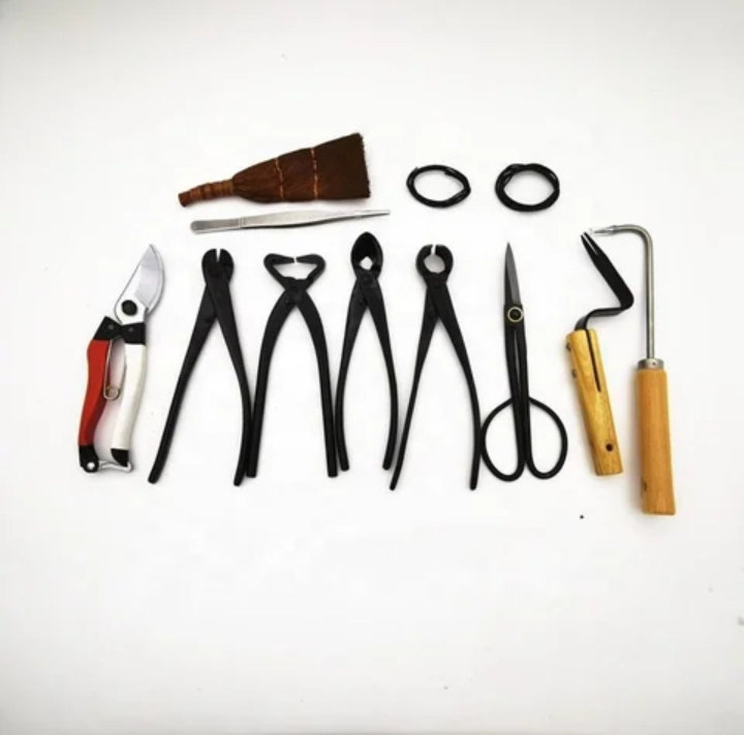 11 Piece Bonsai Tool Set, Bonsai Tool Kit High Carbon Steel Concave ...