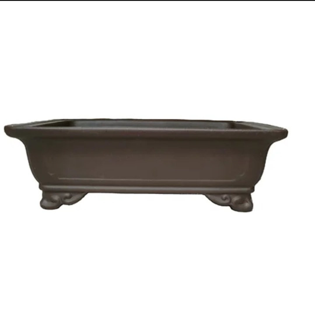 Large Classical Engraved Bonsai Pot Bonsai Planter 9.5x 6.5x 3" - Etsy