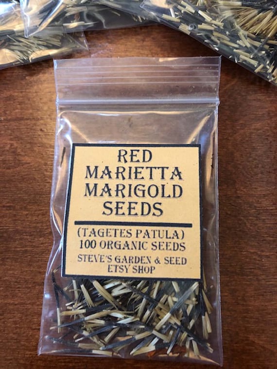 RED MARIETTA Marigold Seeds Large Marigolds Plant Seeds | Etsy