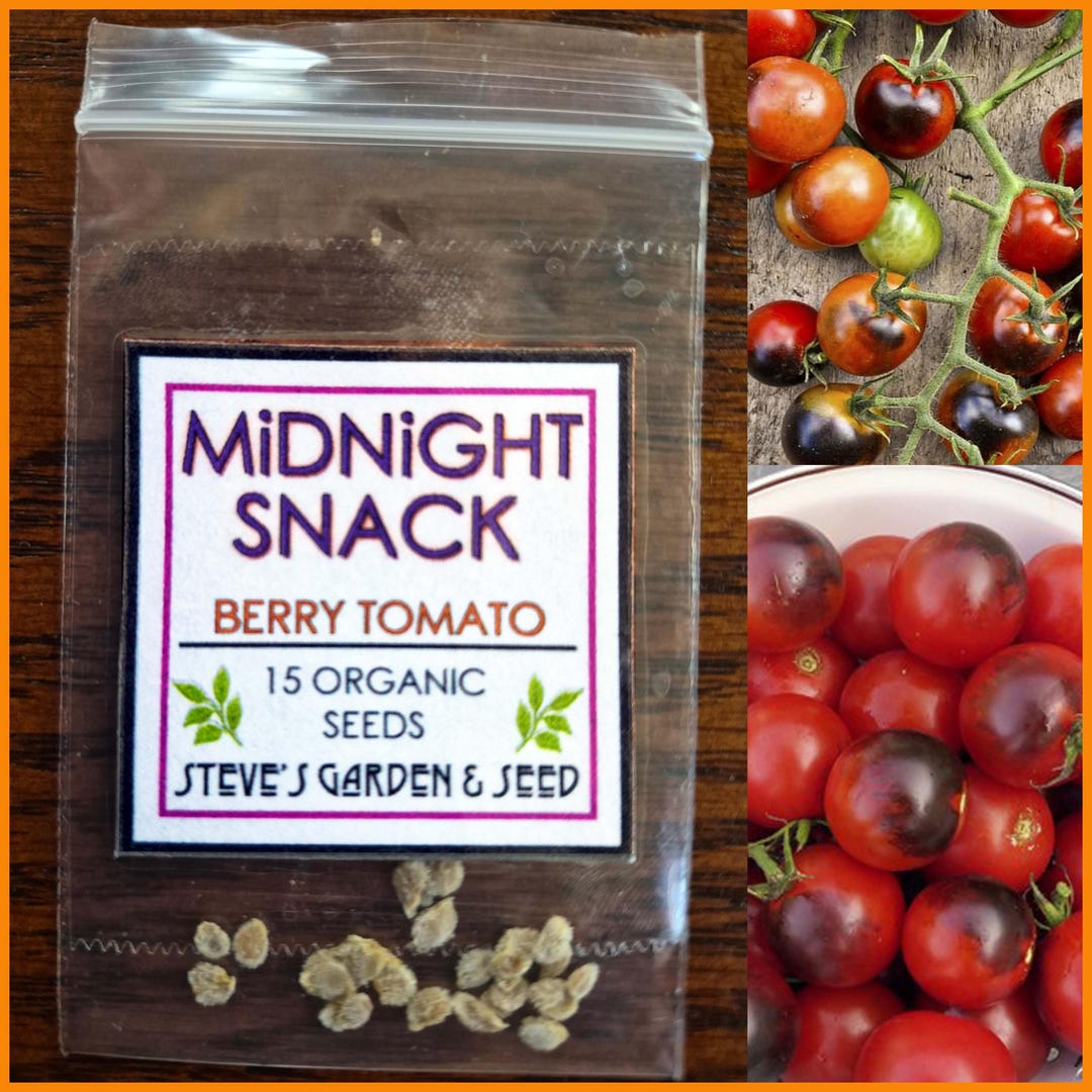 Midnight Snack Tomato Seeds – 15 Seeds | Sweet, Dark Purple Heirloom ...
