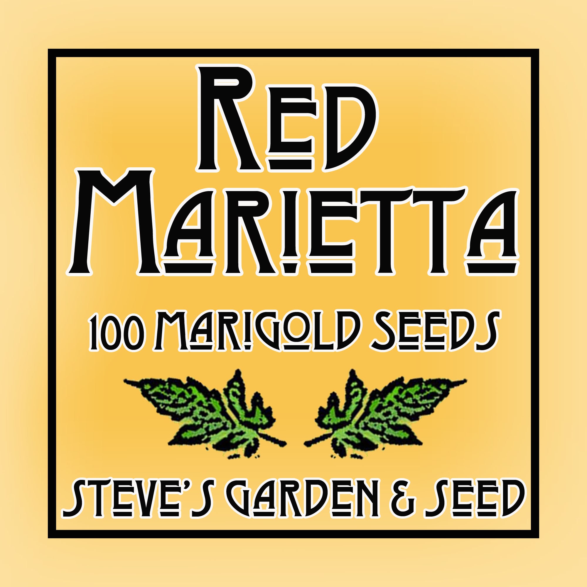 RED MARIETTA Marigold Seeds , Large Marigolds, Plant Seeds, Garden ...