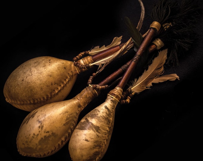 Buffalo Spirit Blessing Rattle, Three Spirit Rattle, Shamanic Rattle ...