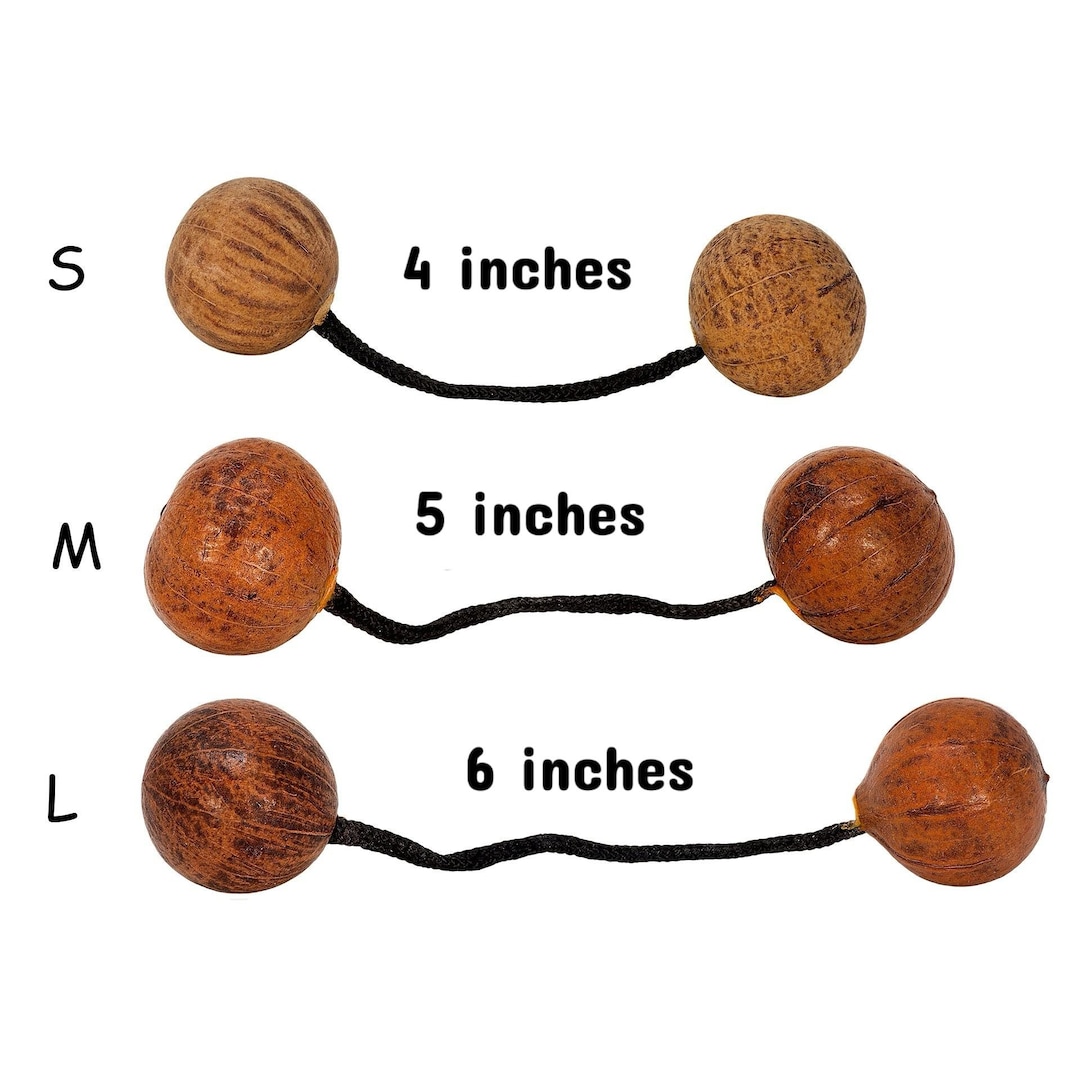 Experience the Rhythm: Terre Thelevi or Asratoa African Shaker in Three ...