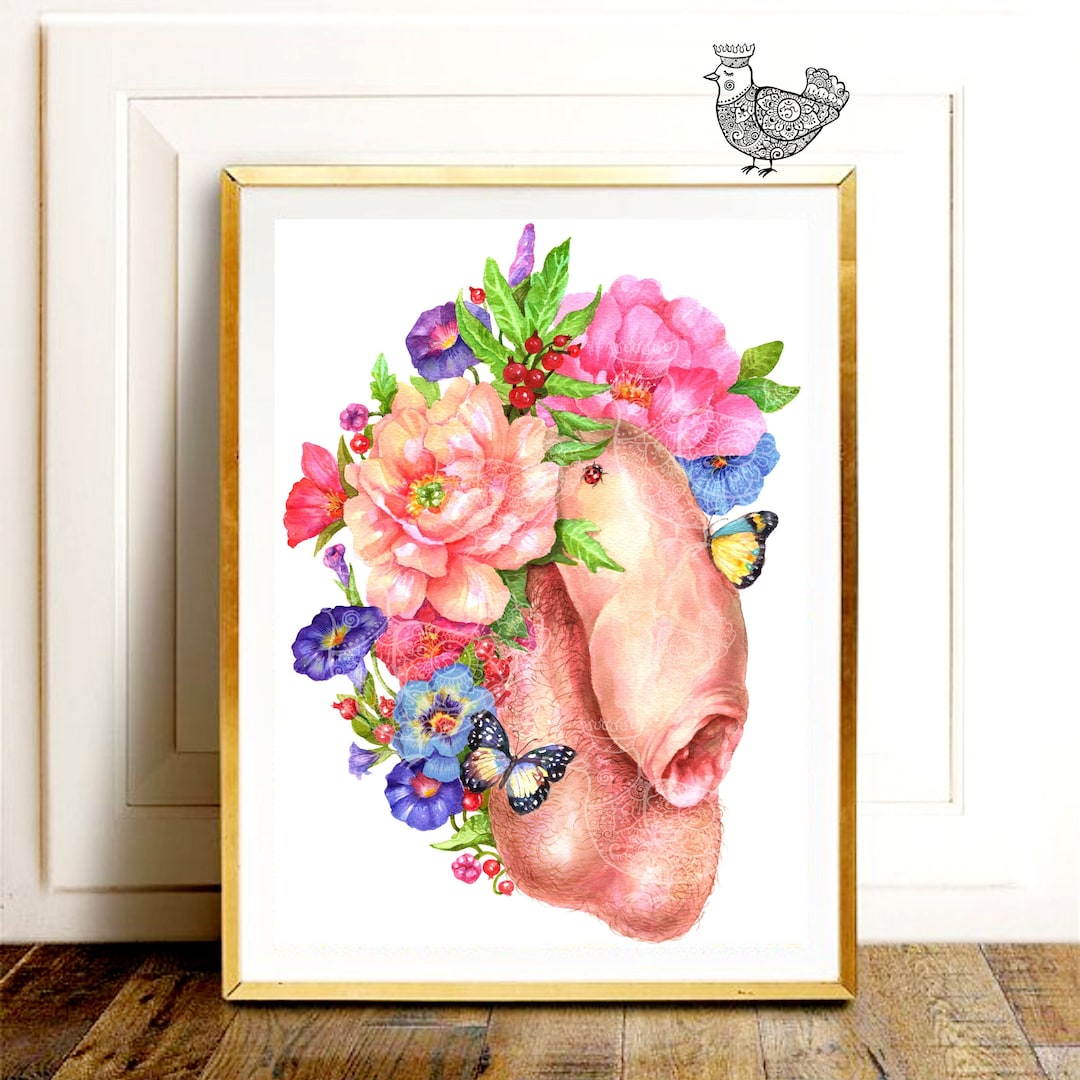 Watercolor Male Genitals Print , Penis, Urology Art, Watercolor Penis ...