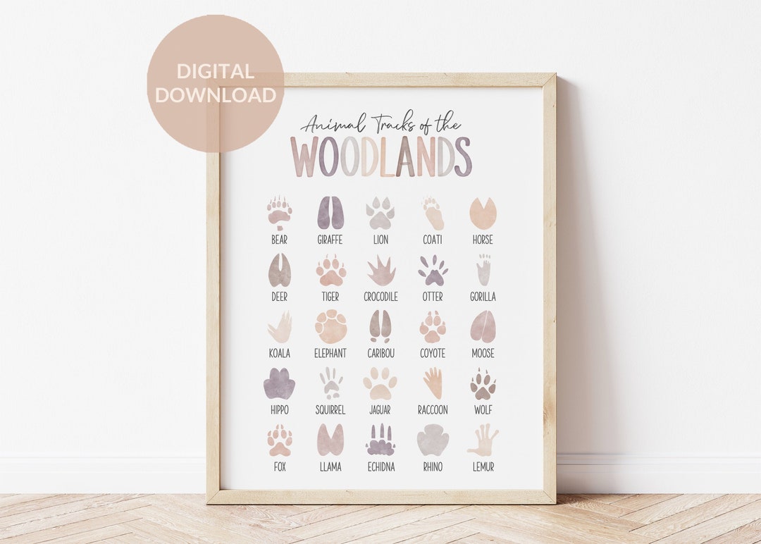 Woodland Animal Tracks, Animal Footprints Print, Animal Tracks Poster ...