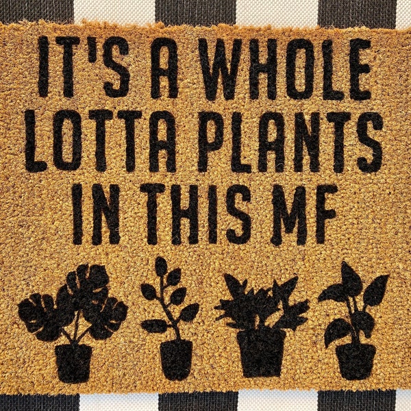 Plant Decor - Etsy