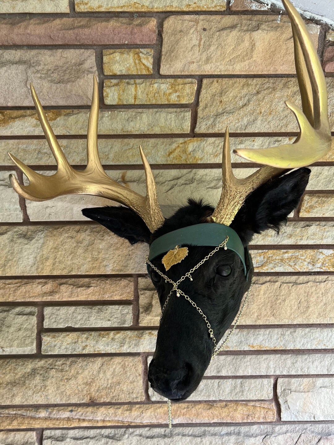 The Fae Lords Steed Taxidermy Art Taxidermied Deer Head Taxidermy ...