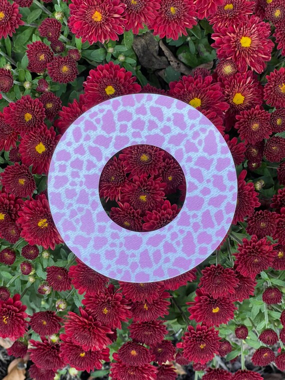 Pink Cow Print Freestyle Libre Overlay Patch - Etsy Australia