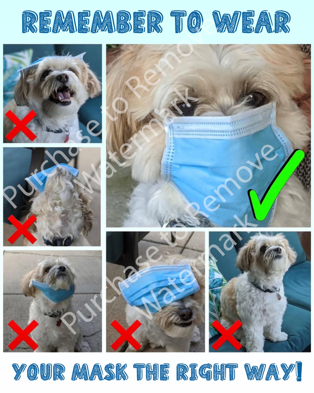 Dog in Mask Safety Poster 16x20 - Etsy