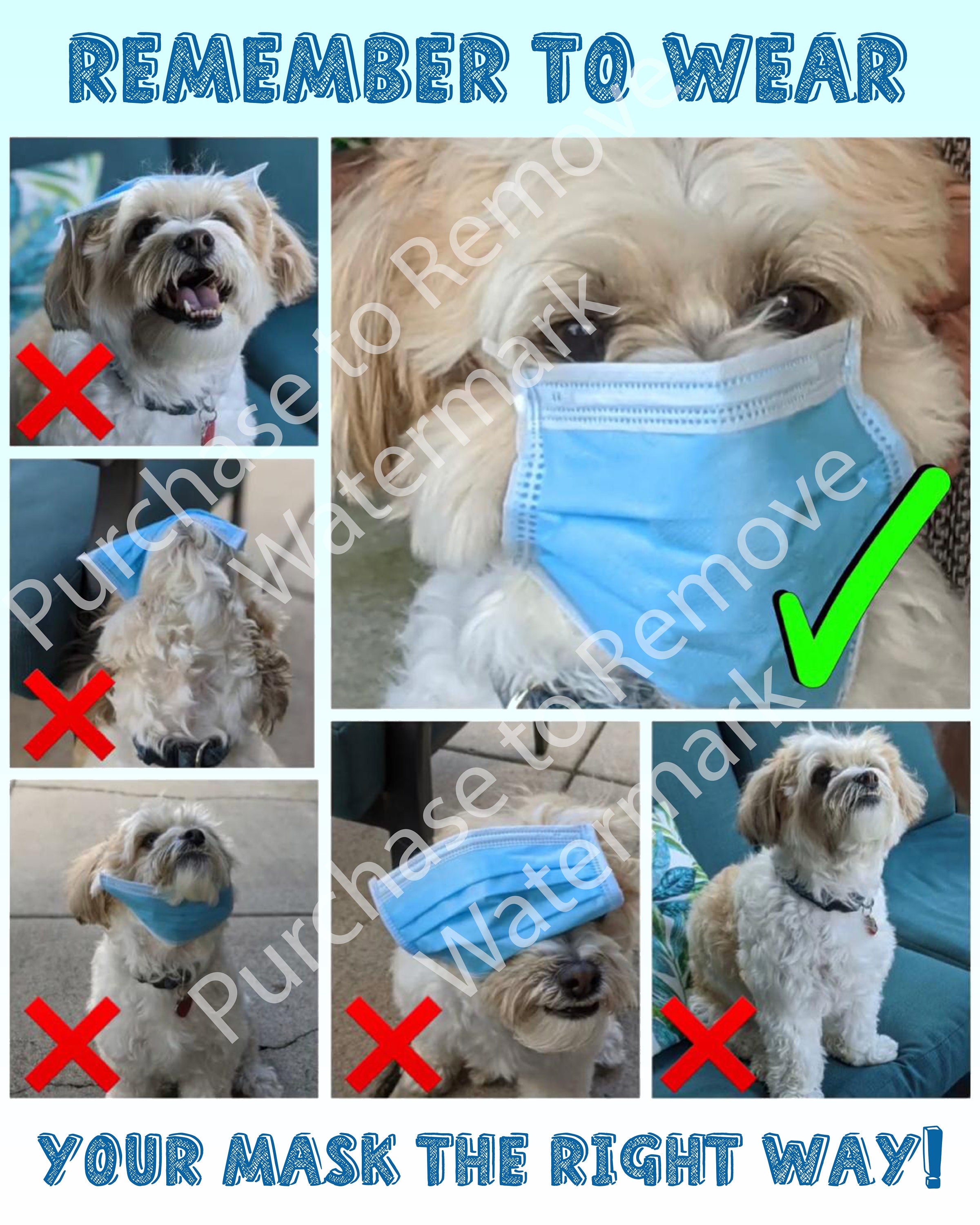 Dog in Mask Safety Poster 16x20 - Etsy