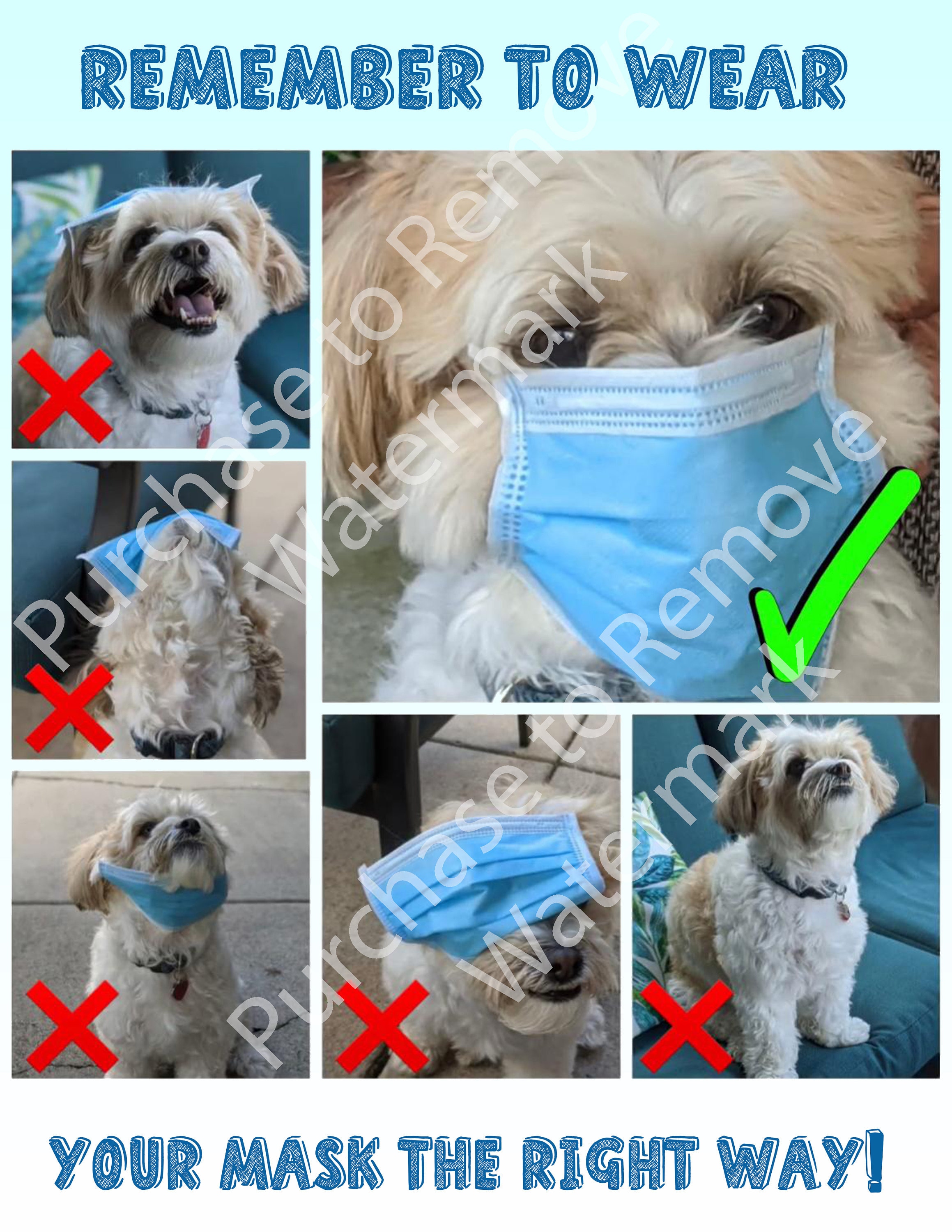 Cute Dog in Mask Safety Poster 8.5x11 - Etsy UK