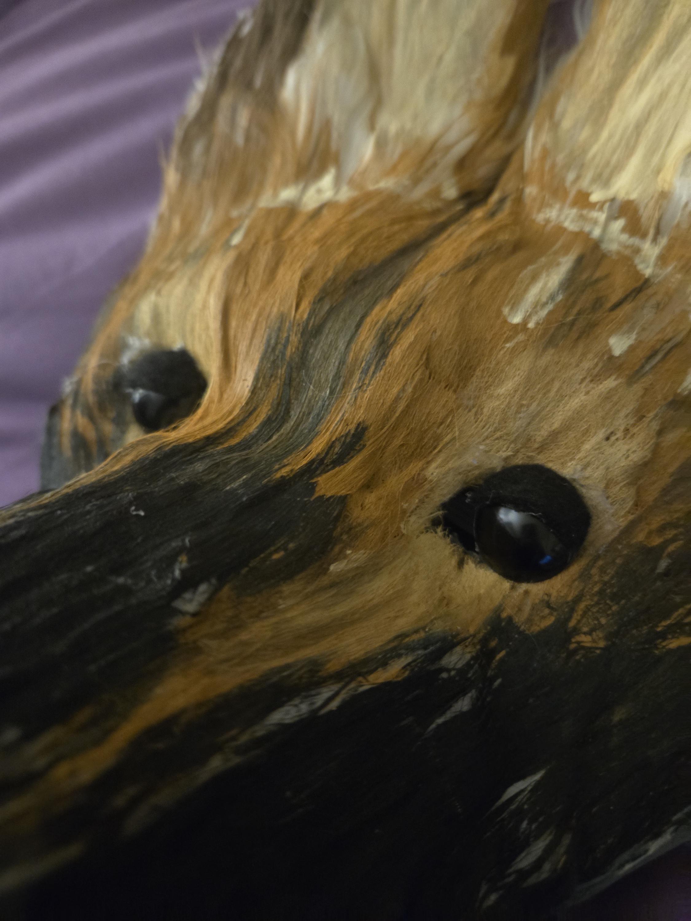 Maned Wolf Mask - Etsy