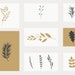 Botanical Leaves SVG Clipart, Botanical Branch Svg, Leaves Svg Bundle ...