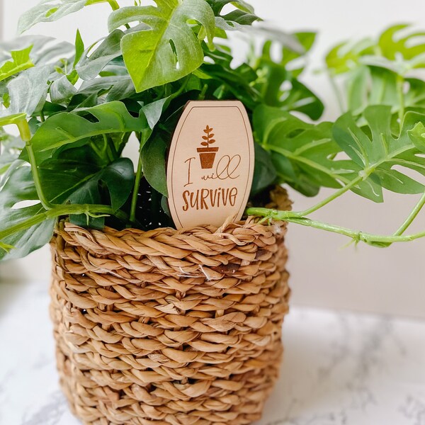 Plant Picks - Etsy
