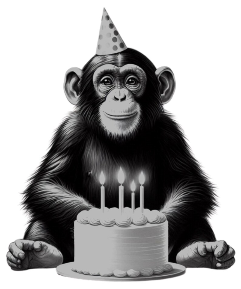Birthday Chimpanzee Png, Chimp Png, Chimpanzee Png, Instant Download ...