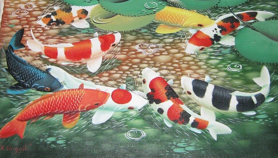 9 Koi Fish Painting With Beautiful and Harmonious Ponds and Rocks - Etsy
