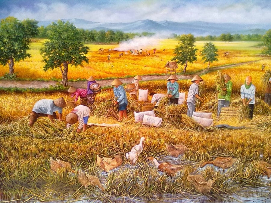 Rice Field Harvest Painting